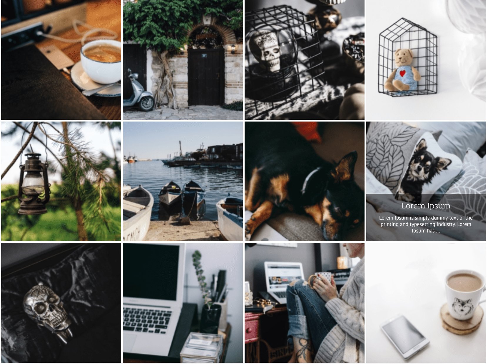 GridKit Demo | WordPress Portfolio, Gallery, Product Catalog Plugin